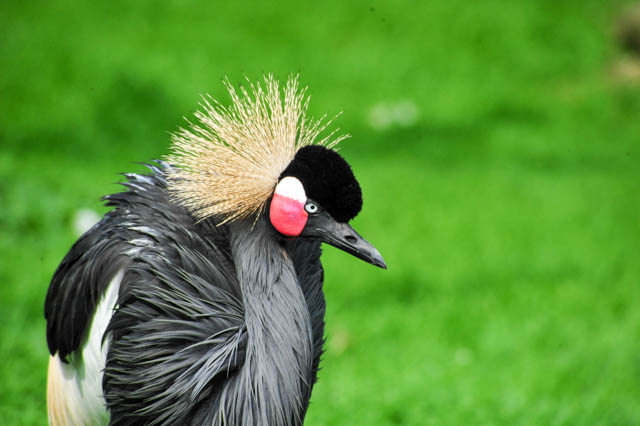 DSC_1125 | sertanyaman.com photography